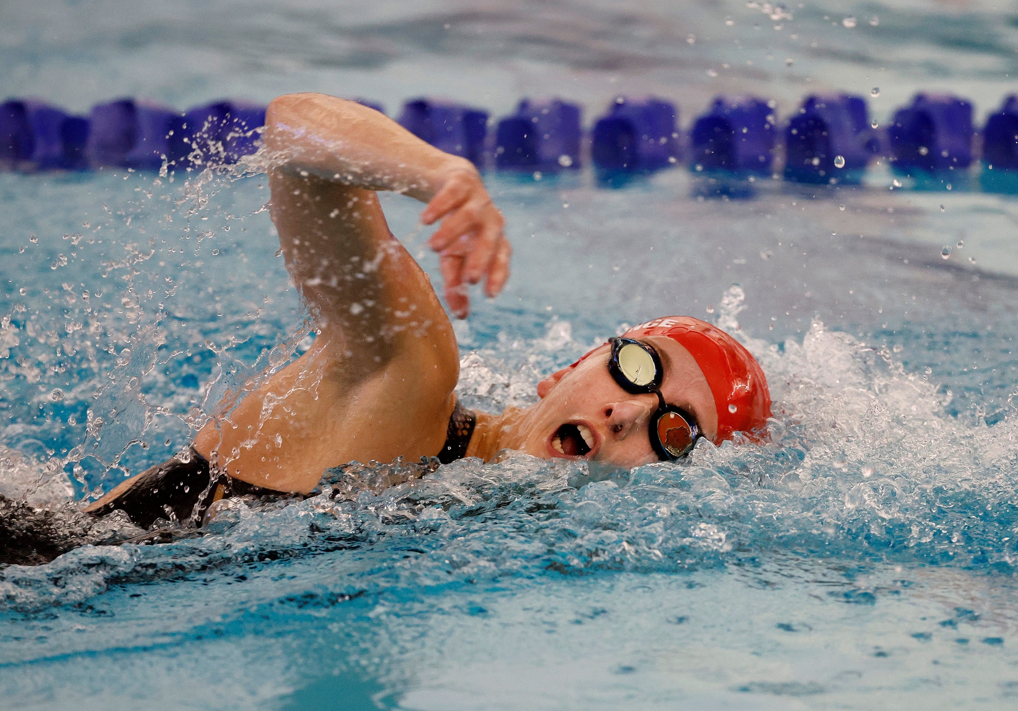 Fairport Area Swim Team - Voted Rochester NY's #1 Swim Team