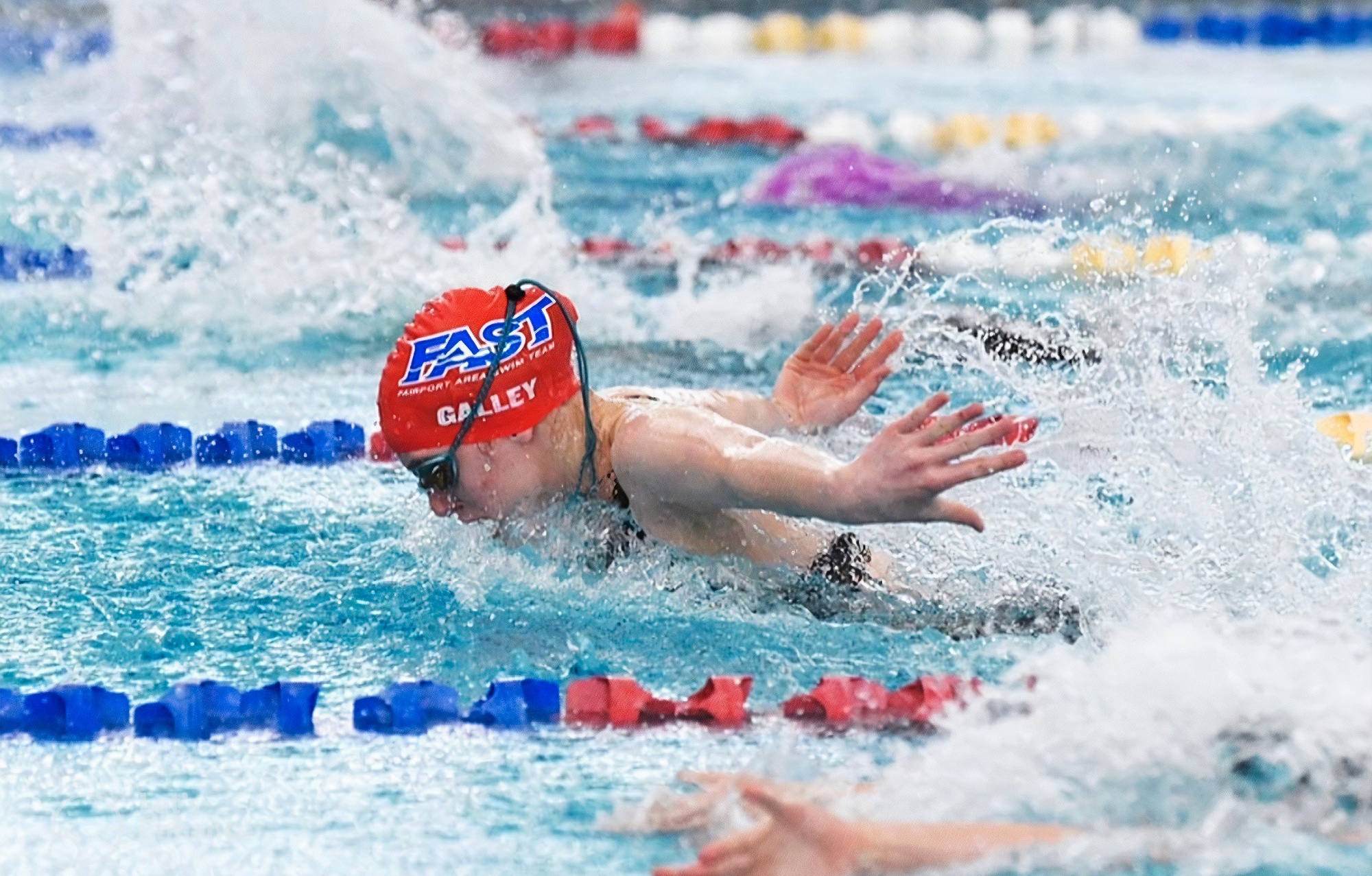 Fairport Area Swim Team - Voted Rochester NY's #1 Swim Team